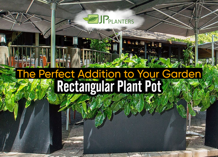 The Perfect Addition to Your Garden: Rectangular Plant Pot – JP Planters