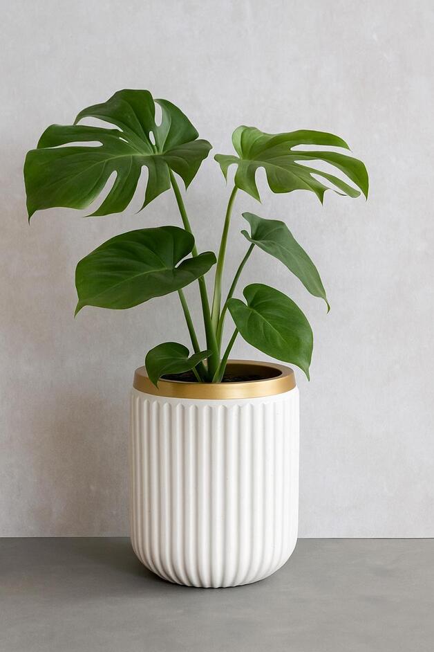 Premium FRP Planters by JP Planters